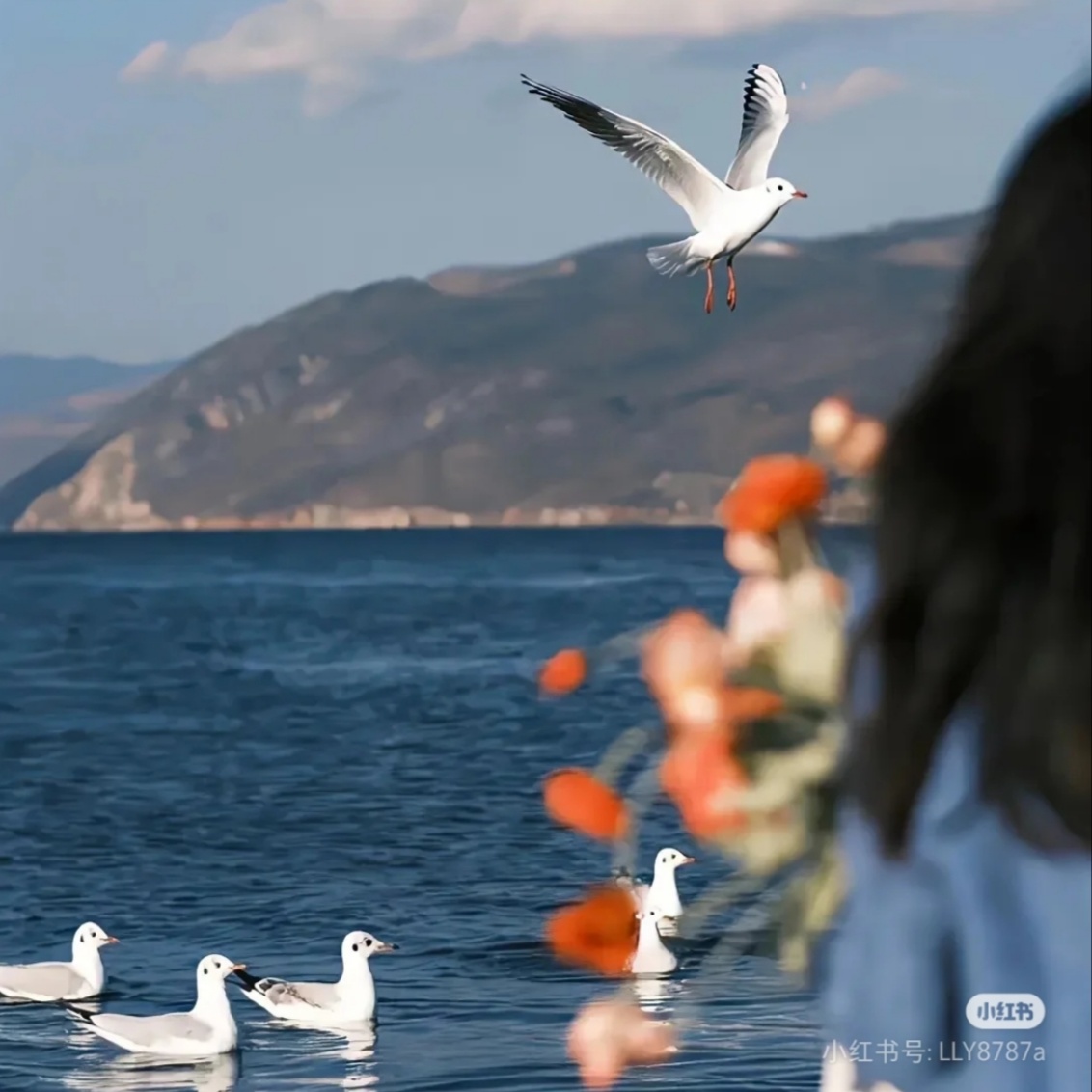 余烬之上_02_电视剧_高清完整版视频在线观看_腾讯视频